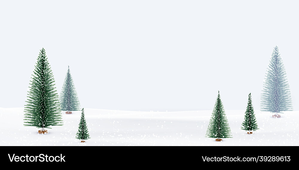 Snowy winter landscape with christmas trees Vector Image