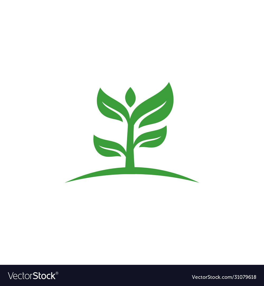 Eco Icon Green Leaf Isolated Royalty Free Vector Image