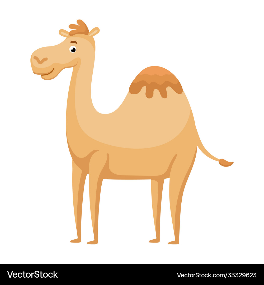 Cute funny camel print on white background Vector Image