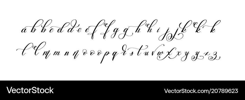 Latin hand written alphabet design - little Vector Image