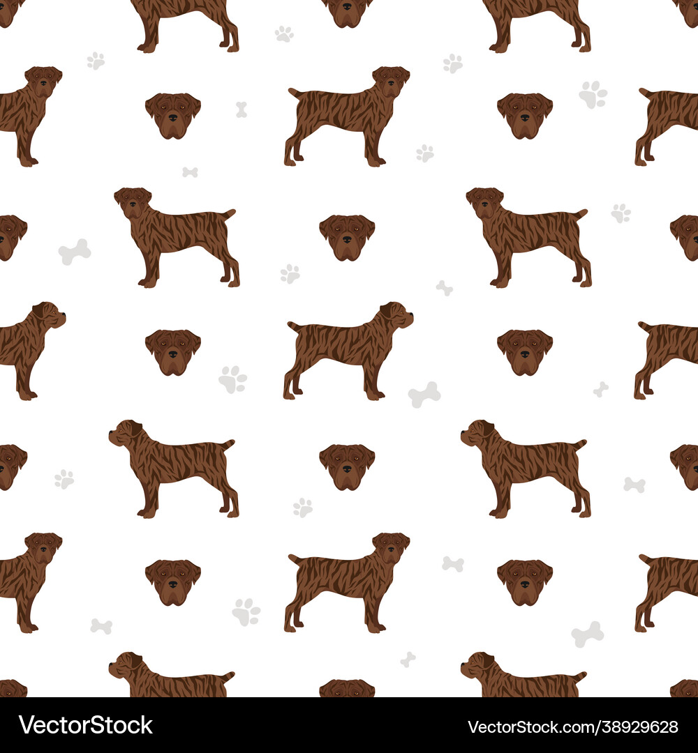 Cane corso seamless pattern different poses coat Vector Image