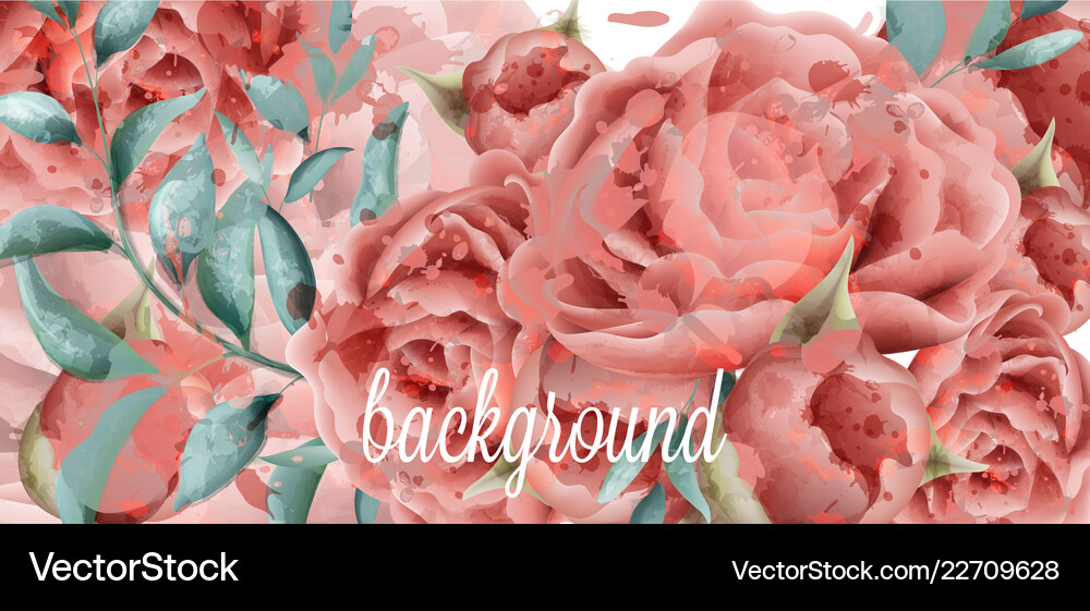 Rose flowers watercolor background Royalty Free Vector Image