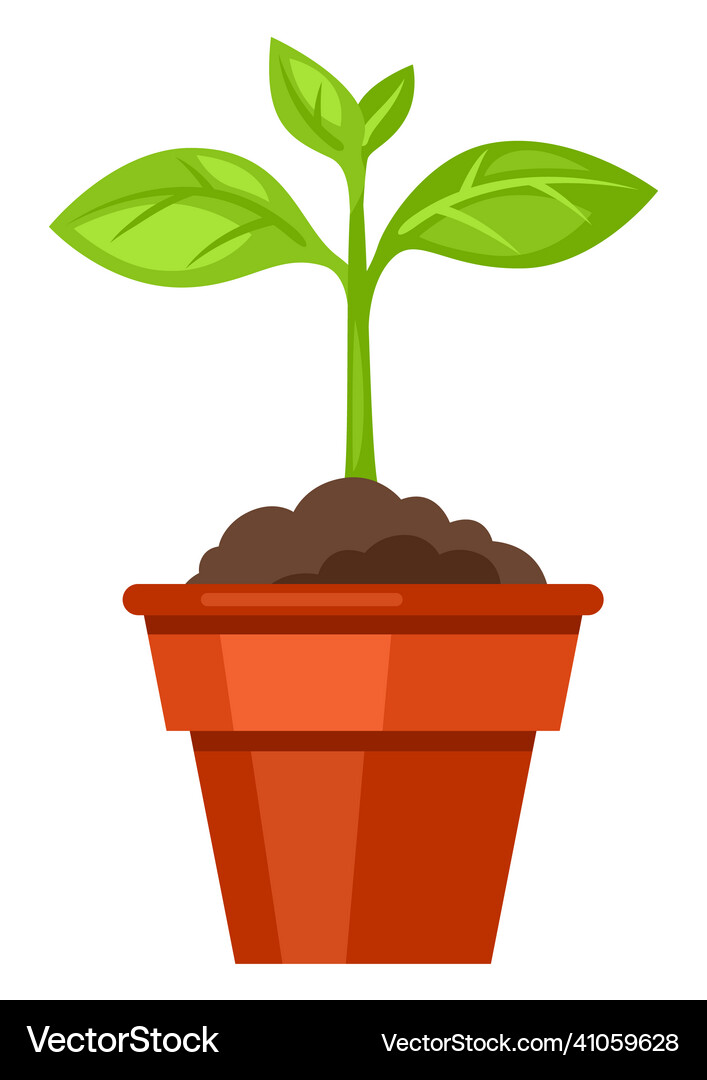 Sprout in pot indoor or garden Royalty Free Vector Image