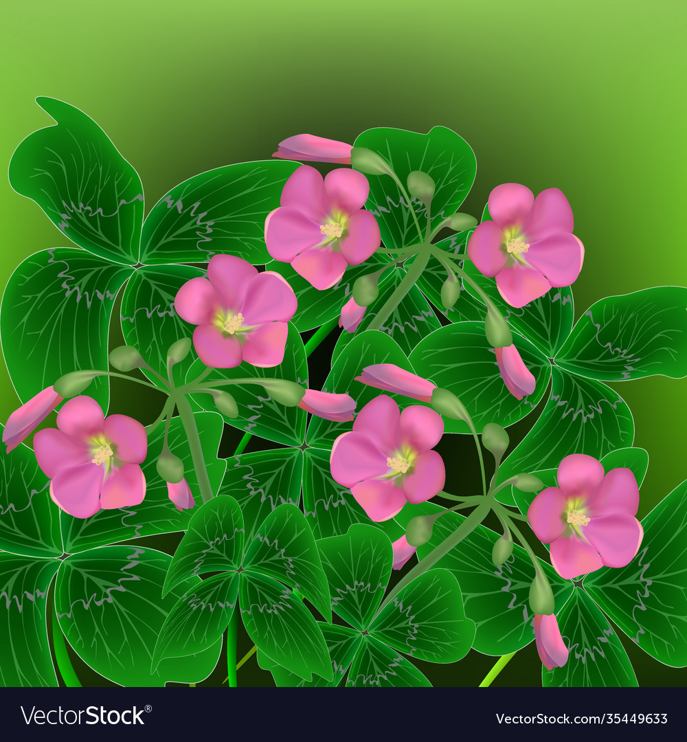 Spring abstract background floral design Vector Image