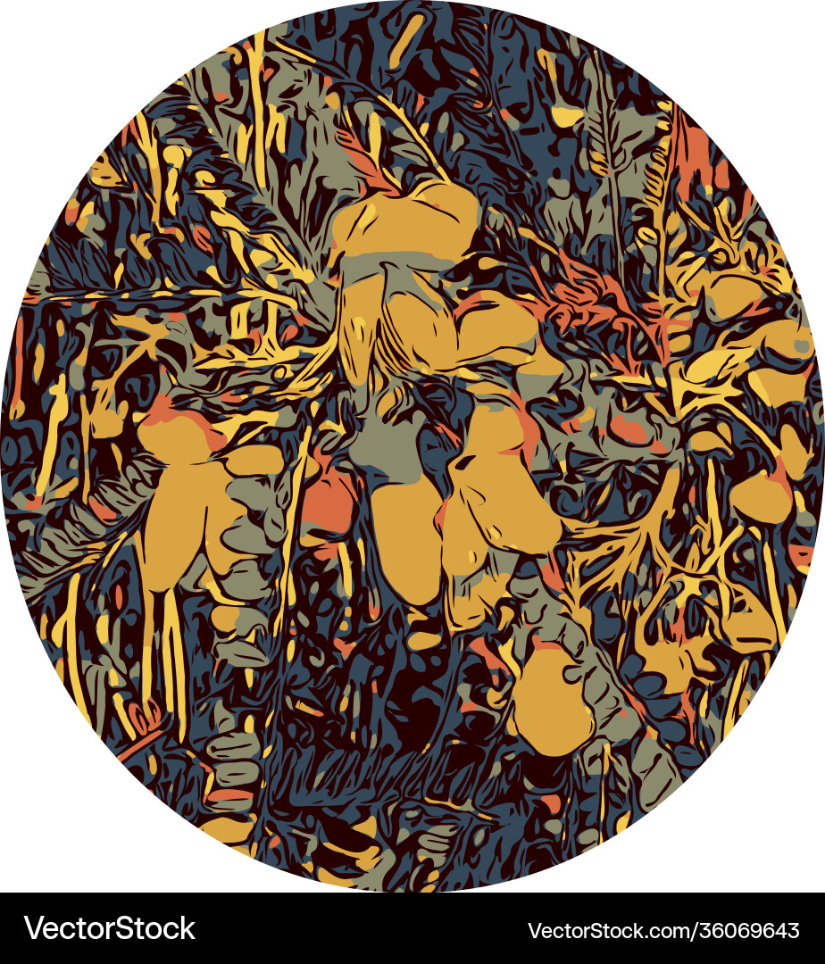 Flower kowhai tree color line art oval Royalty Free Vector