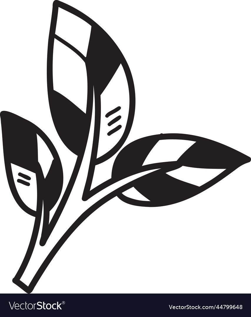 Hand drawn leaves or twigs Royalty Free Vector Image Hand drawn leaves or twigs Royalty Free Vector Image
