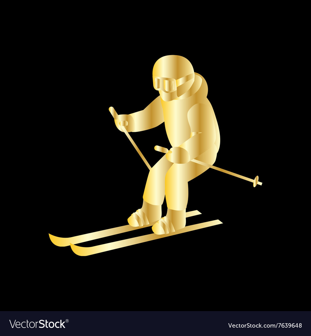People skiing flat style design Royalty Free Vector Image