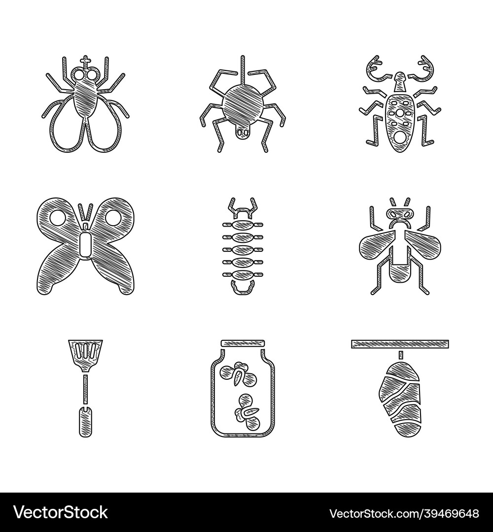Set centipede fireflies bugs in a jar butterfly Vector Image