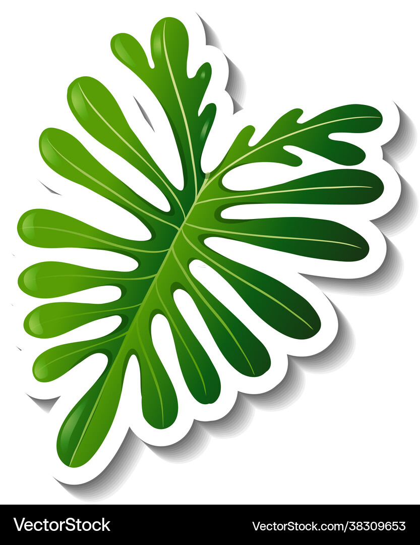 Tropical Leaf Template