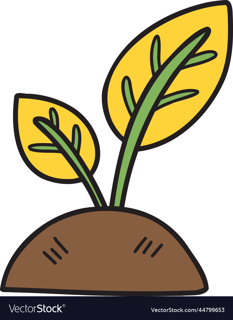 Hand drawn tree sapling Royalty Free Vector Image