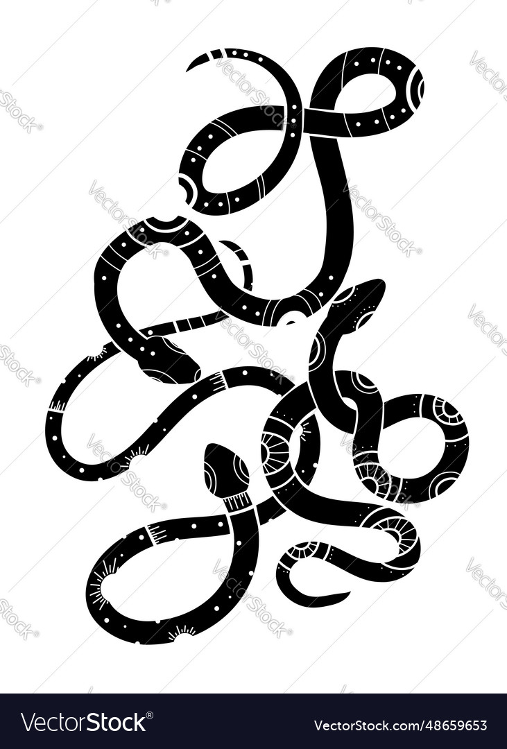 Mystery with tangled tracery snakes monochrome Vector Image