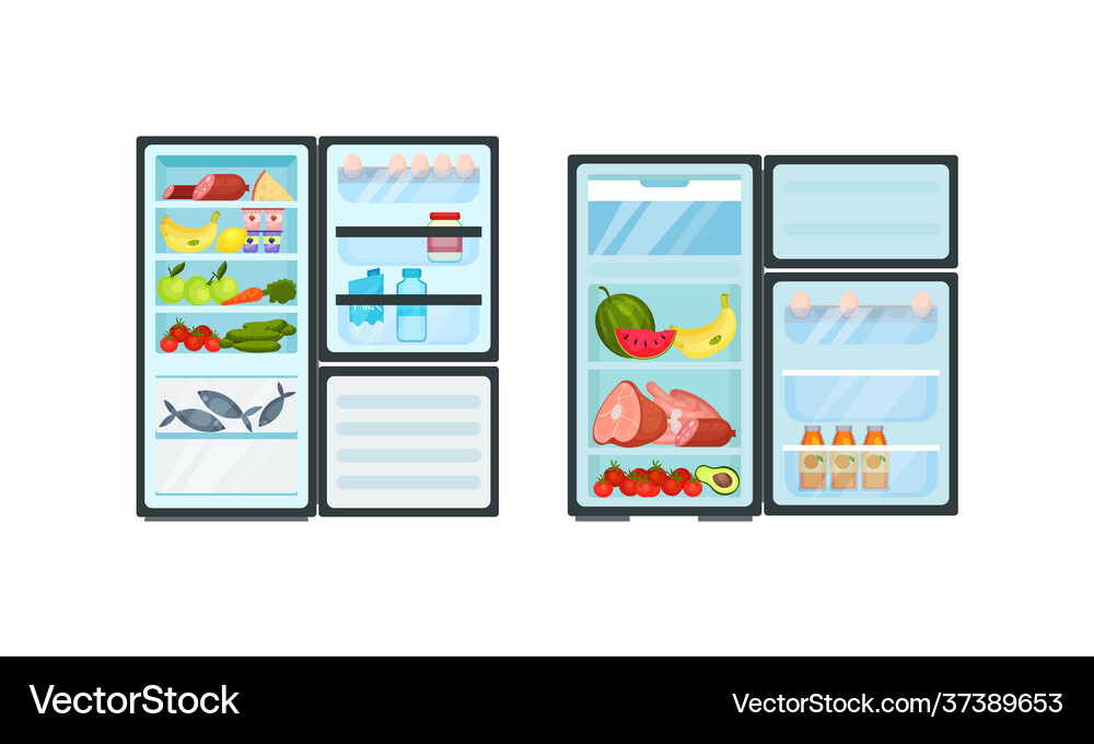 Open refrigerator or fridge as home appliance Vector Image