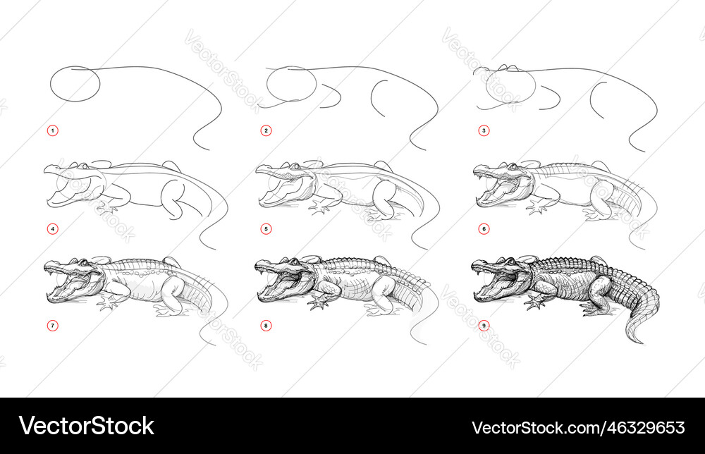 Page shows how to learn to draw sketch Royalty Free Vector