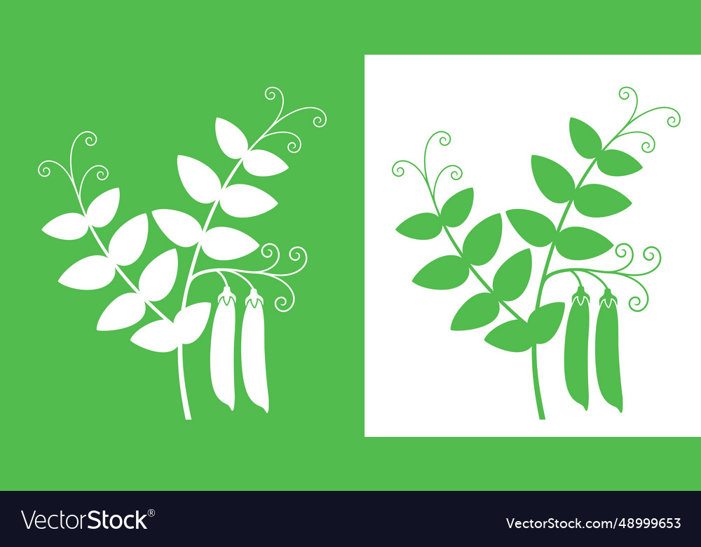Pea Royalty Free Vector Image - VectorStock