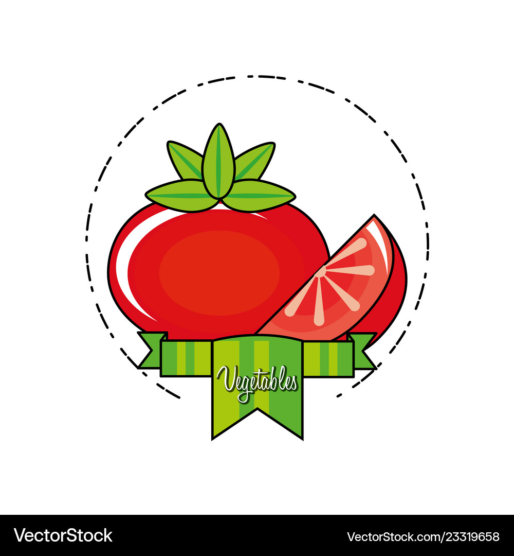 Fresh tomato with ribbon isolated icon Royalty Free Vector