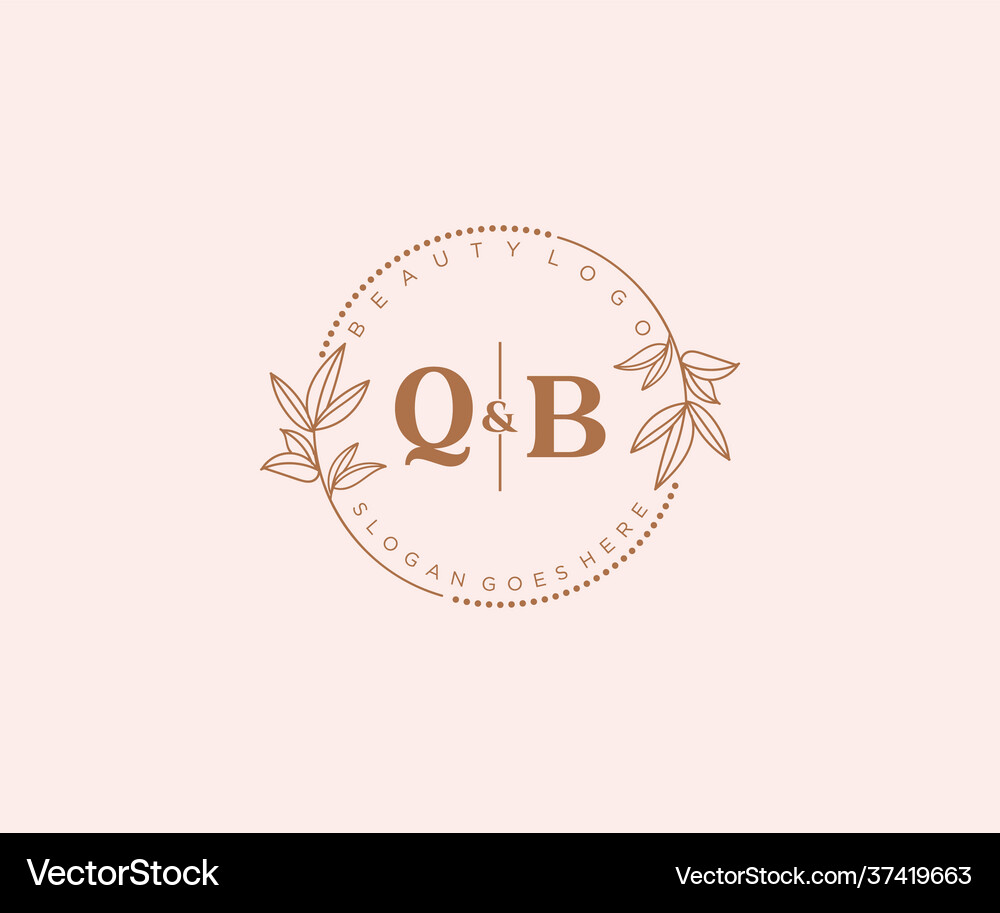 Initial qb letters beautiful floral feminine Vector Image