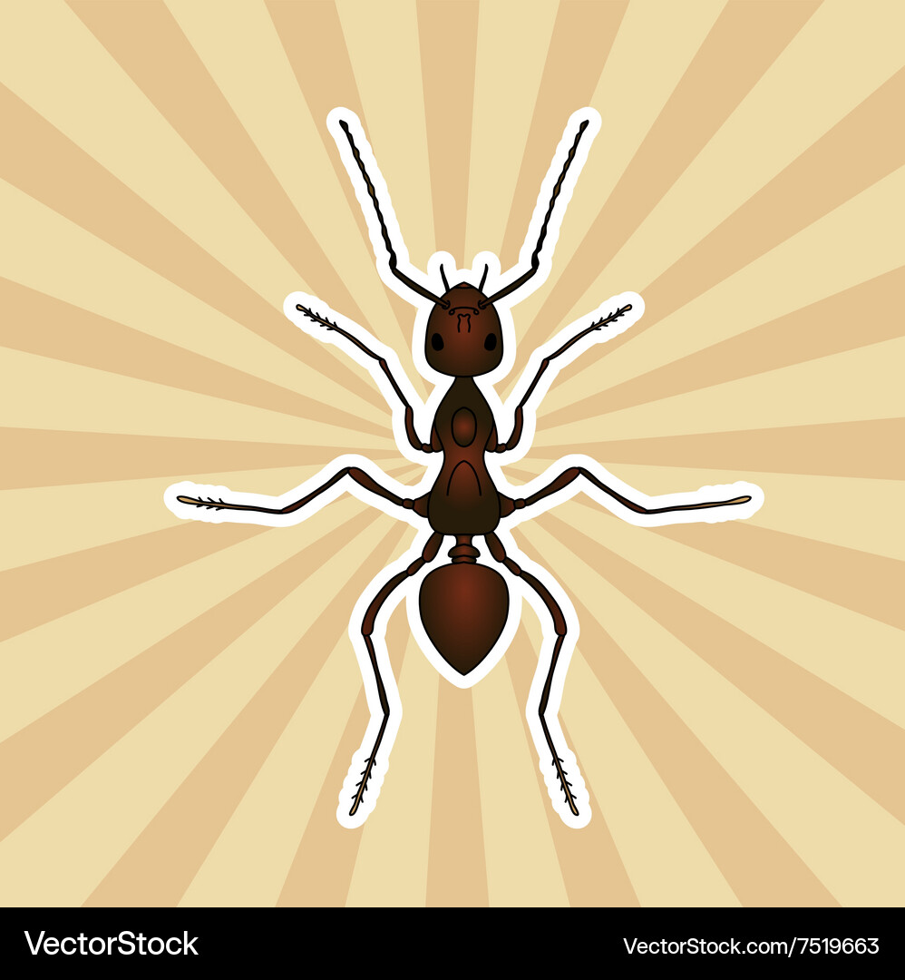 Insect anatomy sticker formica exsecta sketch Vector Image