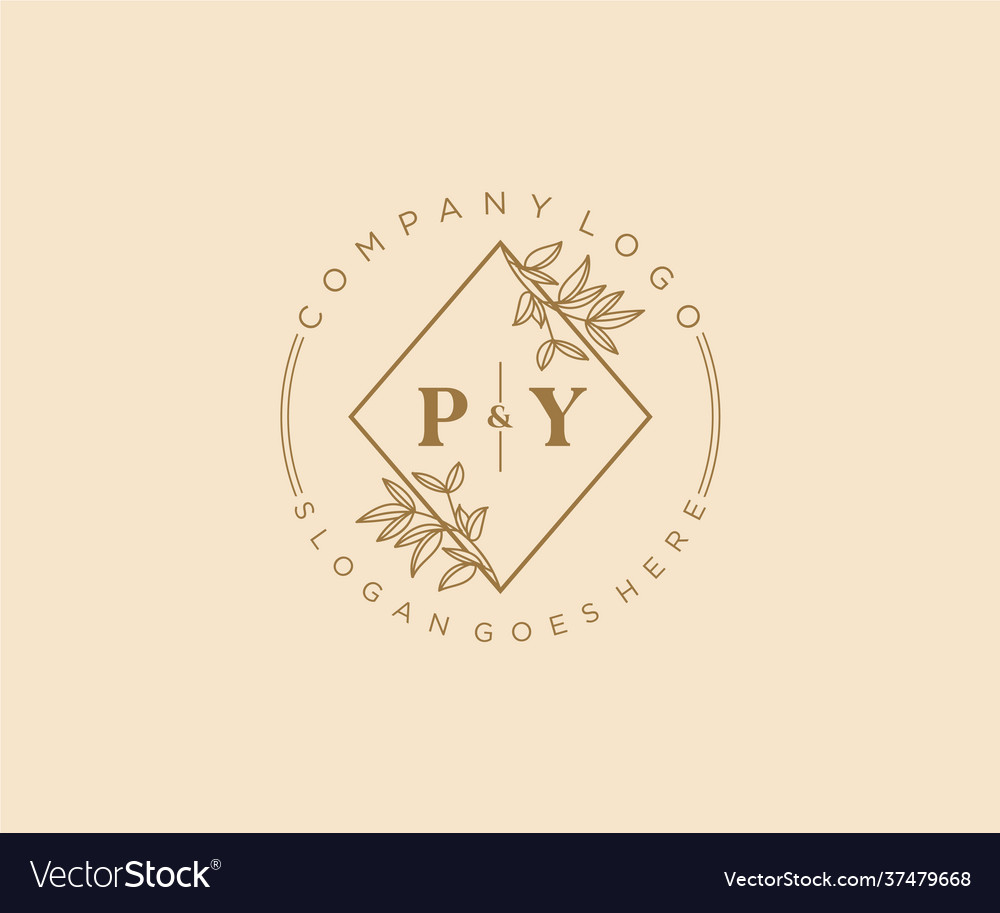 Initial py letters beautiful floral feminine Vector Image