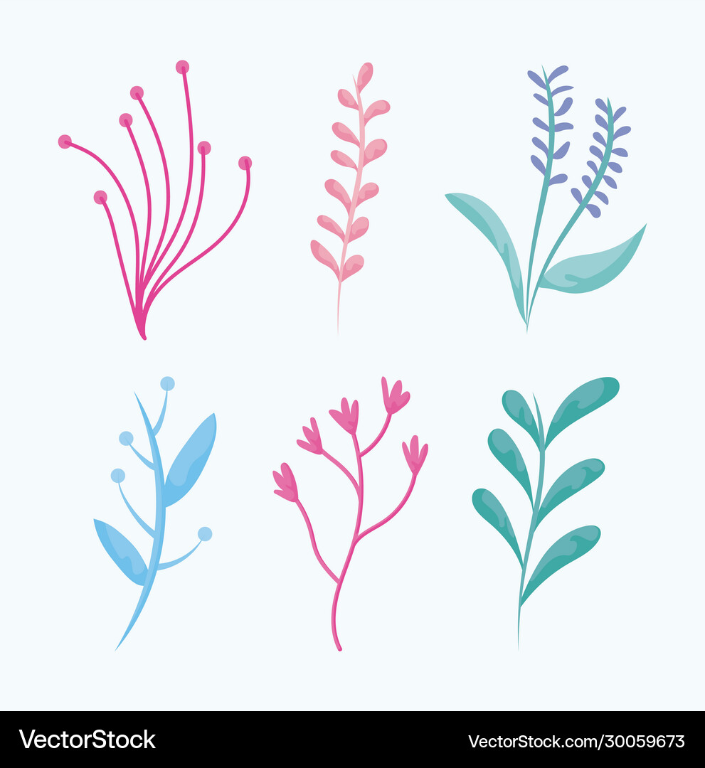 Beautiful leaves icon set over white background Vector Image