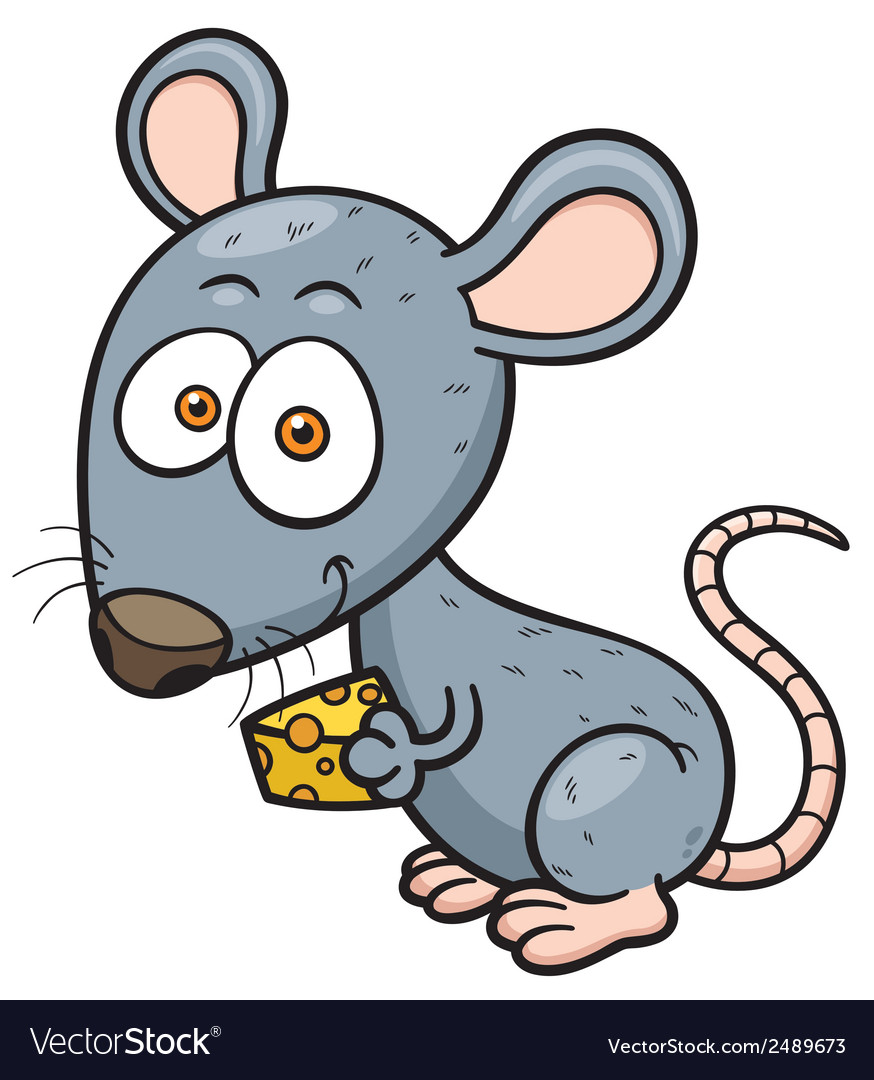 Rat Royalty Free Vector Image - VectorStock