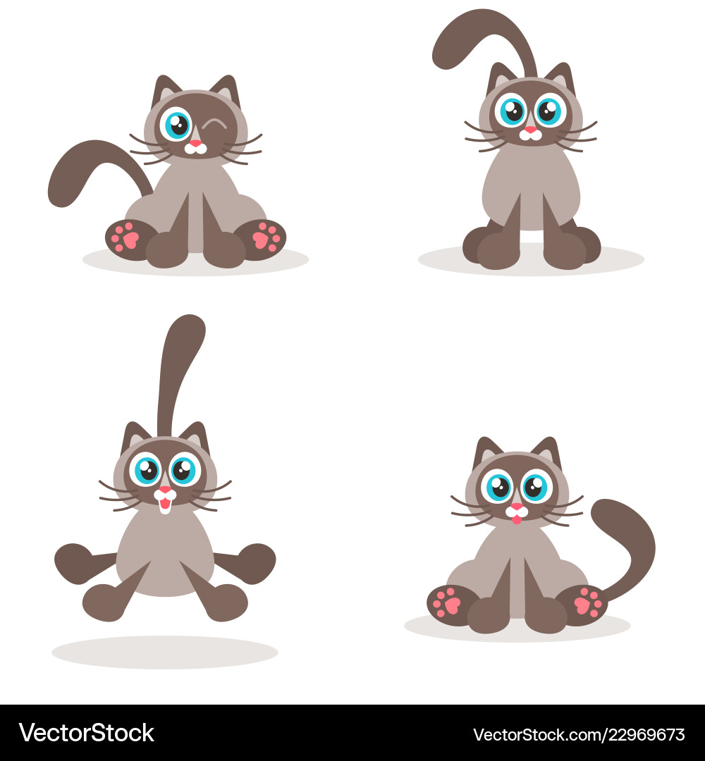 Siamese cat icons isolated on white background Vector Image