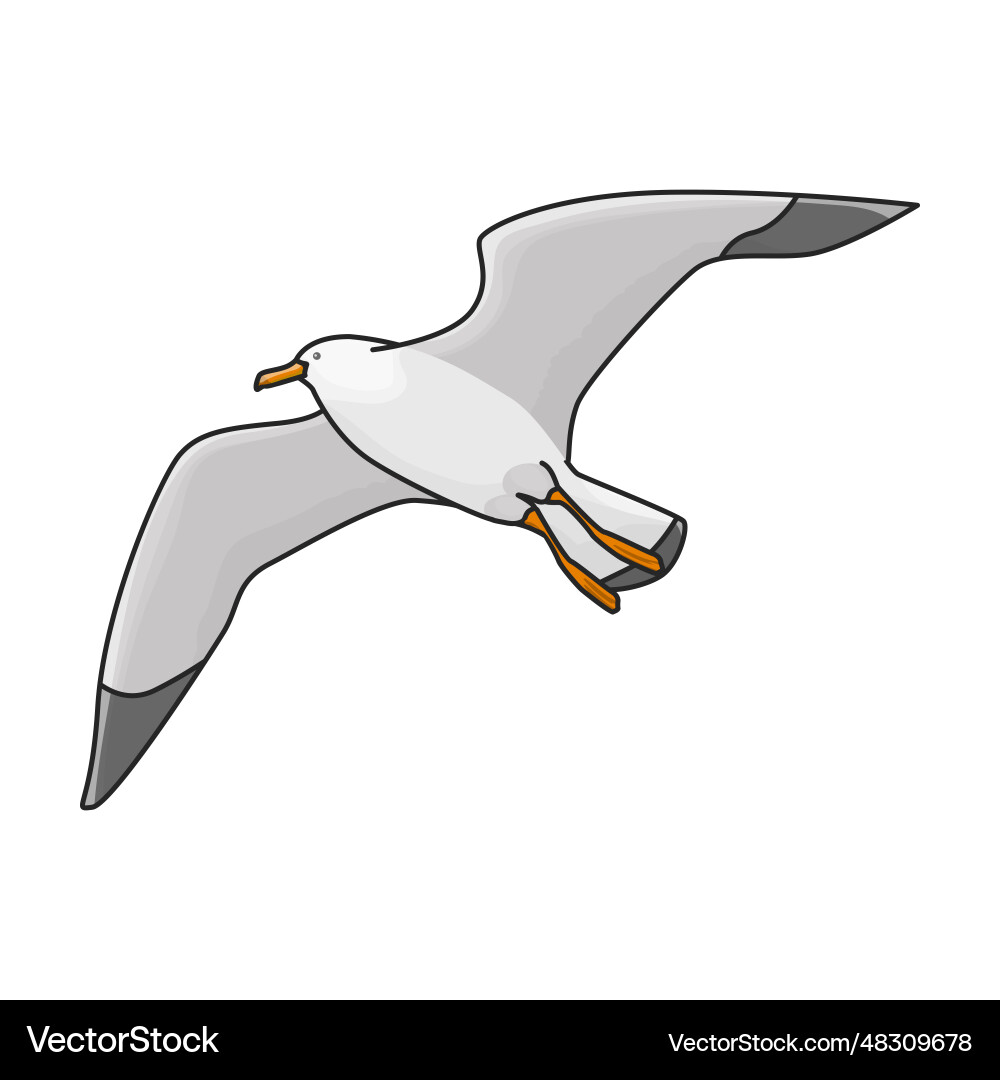 Bird gull iconcolor icon isolated Royalty Free Vector Image