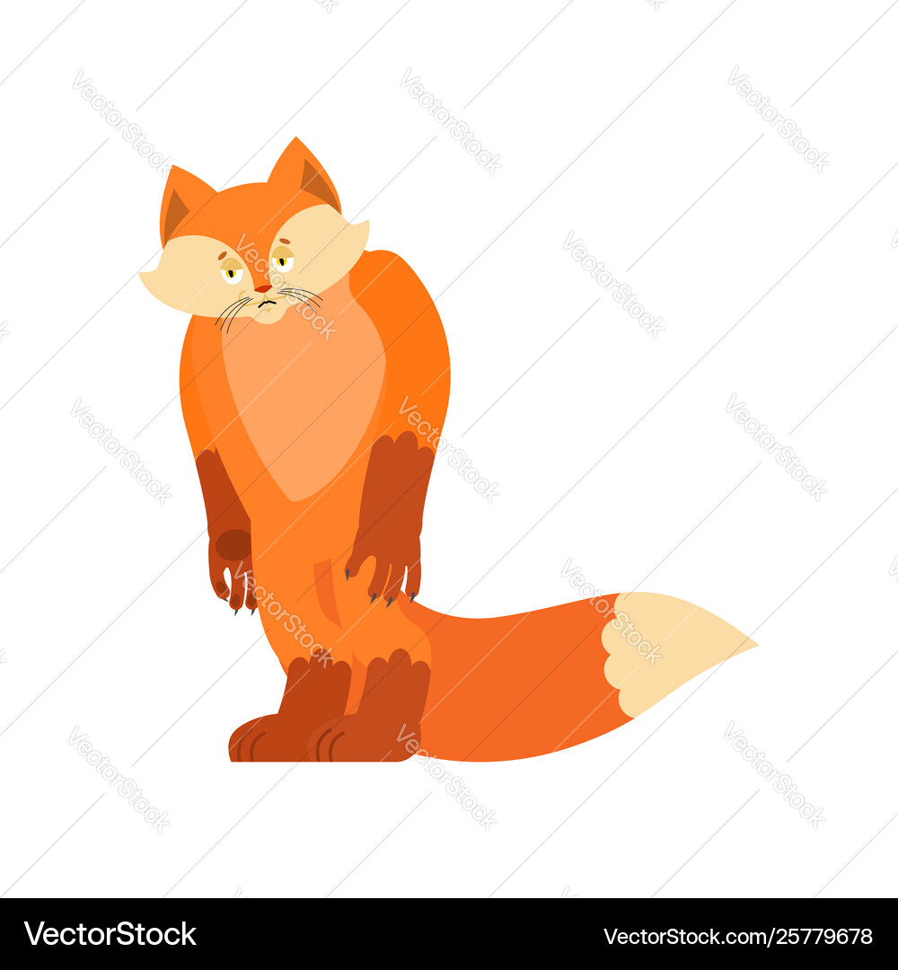 Fox sad wild animal sorrowful she-fox dull Vector Image