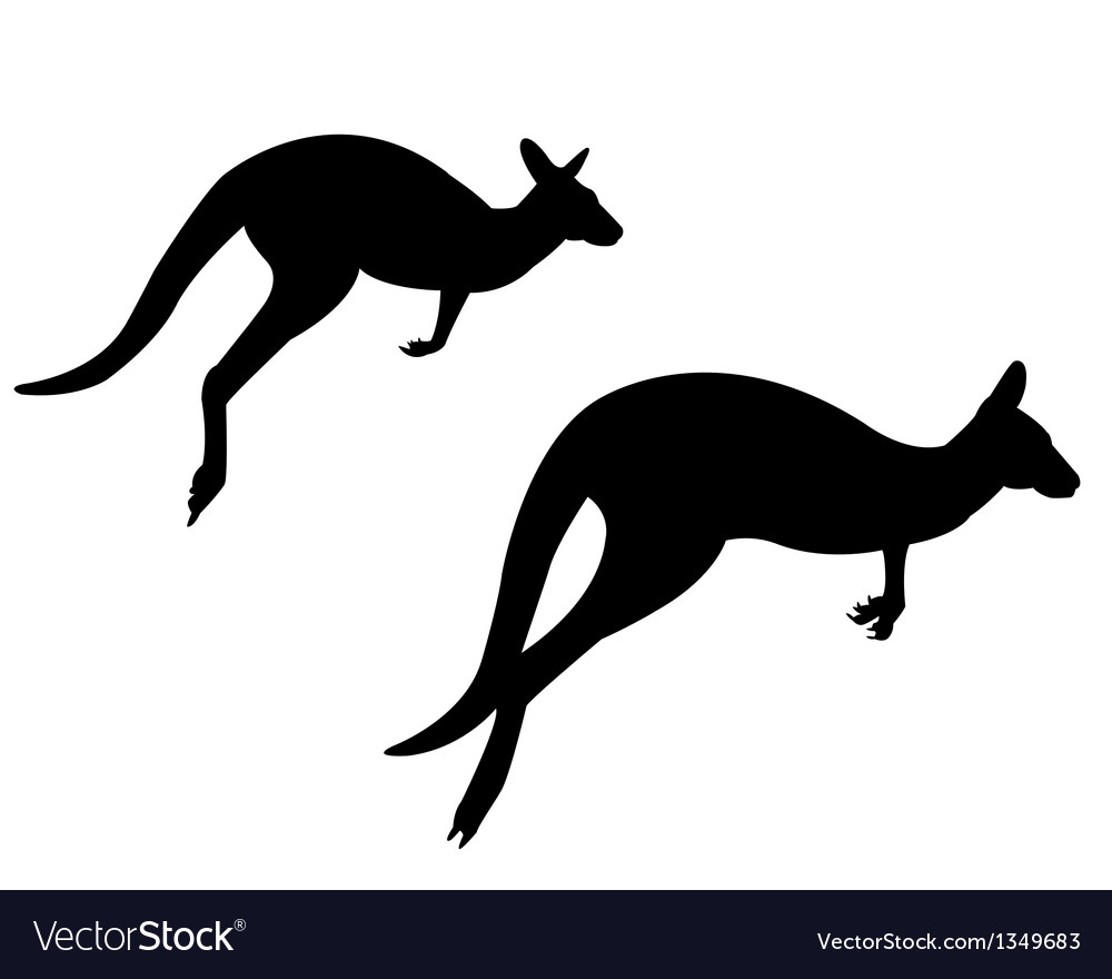 Two kangaroo Royalty Free Vector Image - VectorStock