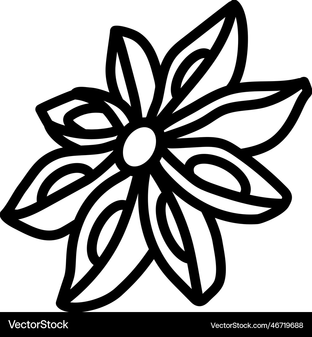 Anise food herb line icon Royalty Free Vector Image