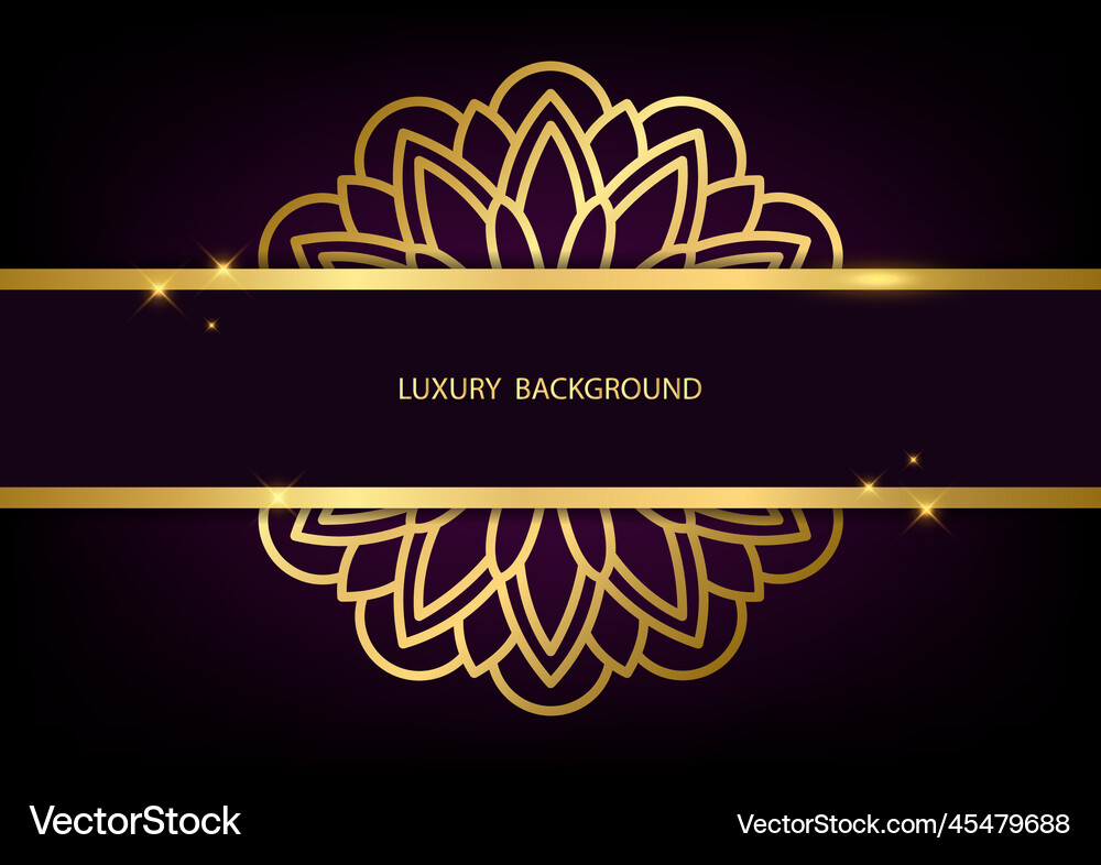 Luxury flower cover design header gold line Vector Image