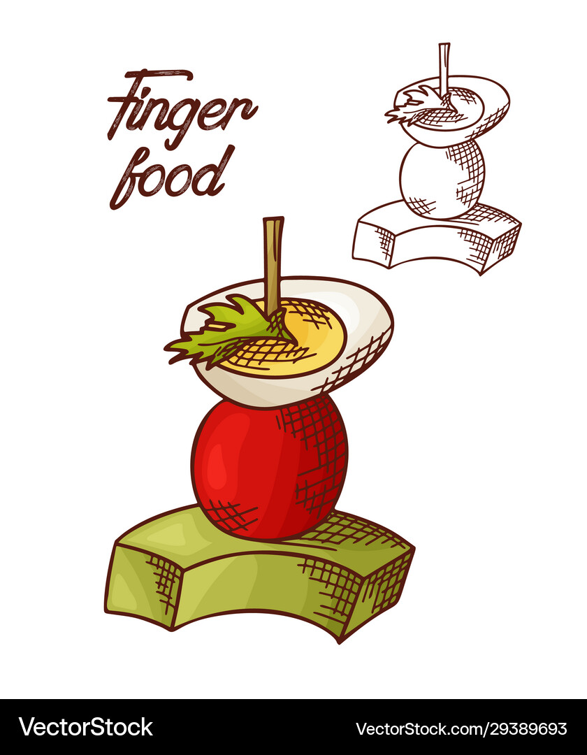 Hand drawn finger food element appetizers served Vector Image
