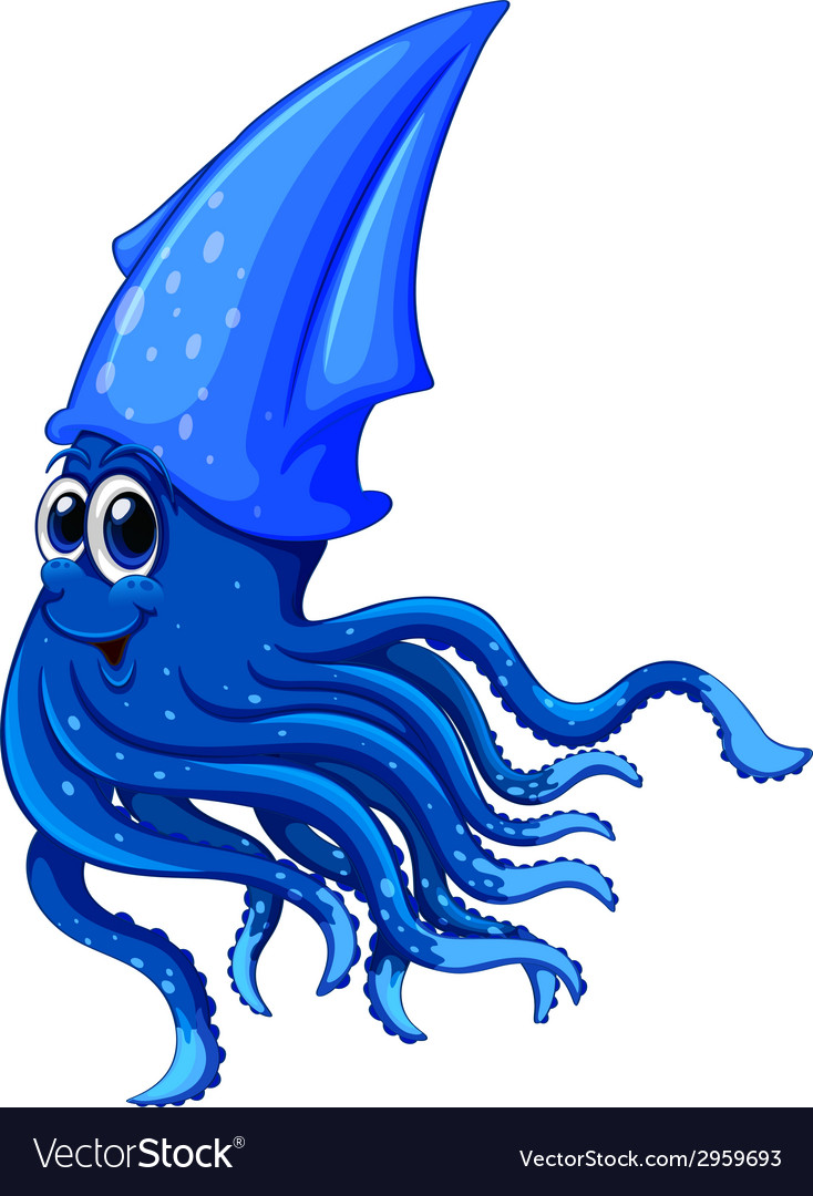 Squid Royalty Free Vector Image - VectorStock