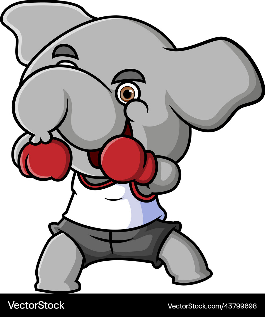 Boxer elephant is boxing and wearing gloves Vector Image