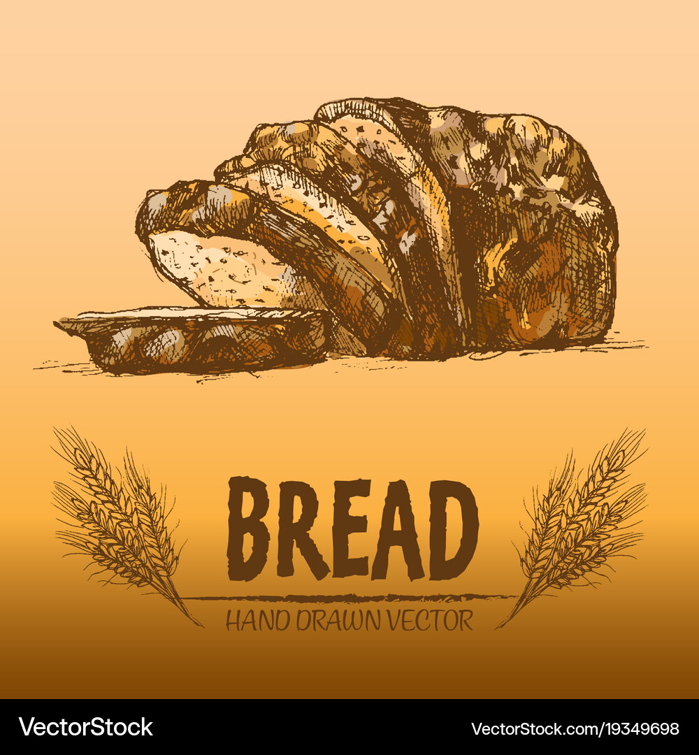 Digital color detailed line art bread Royalty Free Vector