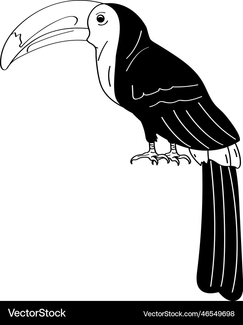 Toucan animal monochrome style Royalty Free Vector Image