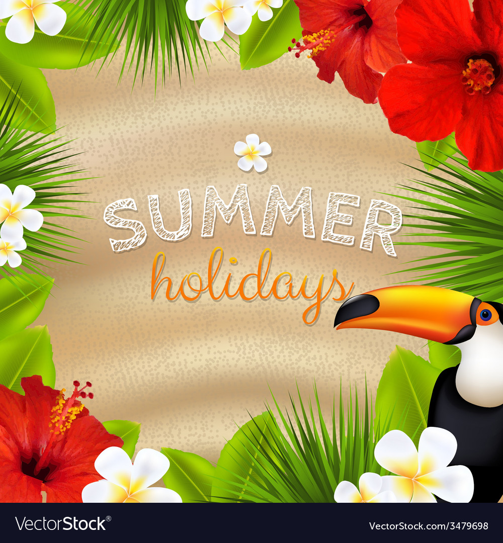 Tropical color banner Royalty Free Vector Image