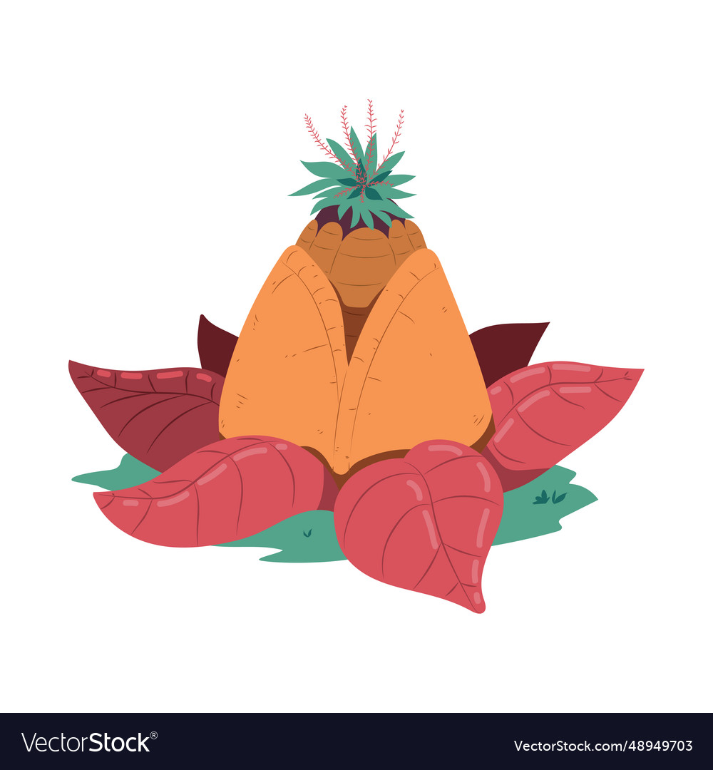 Pineapple leaf pyramid Royalty Free Vector Image