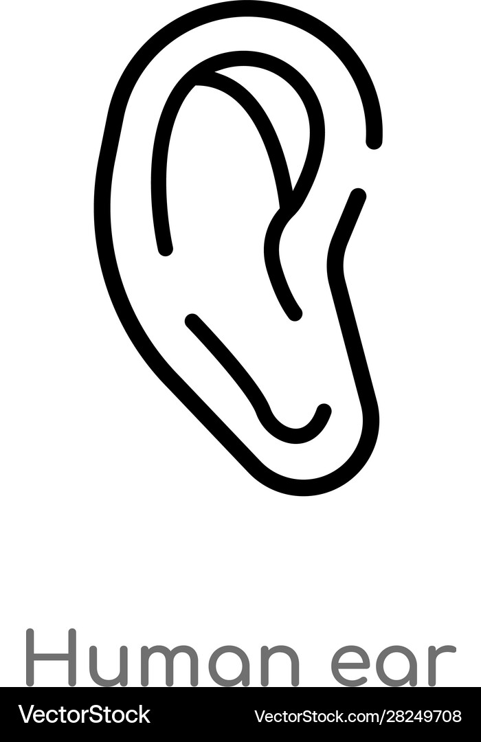 Outline human ear icon isolated black simple line Vector Image