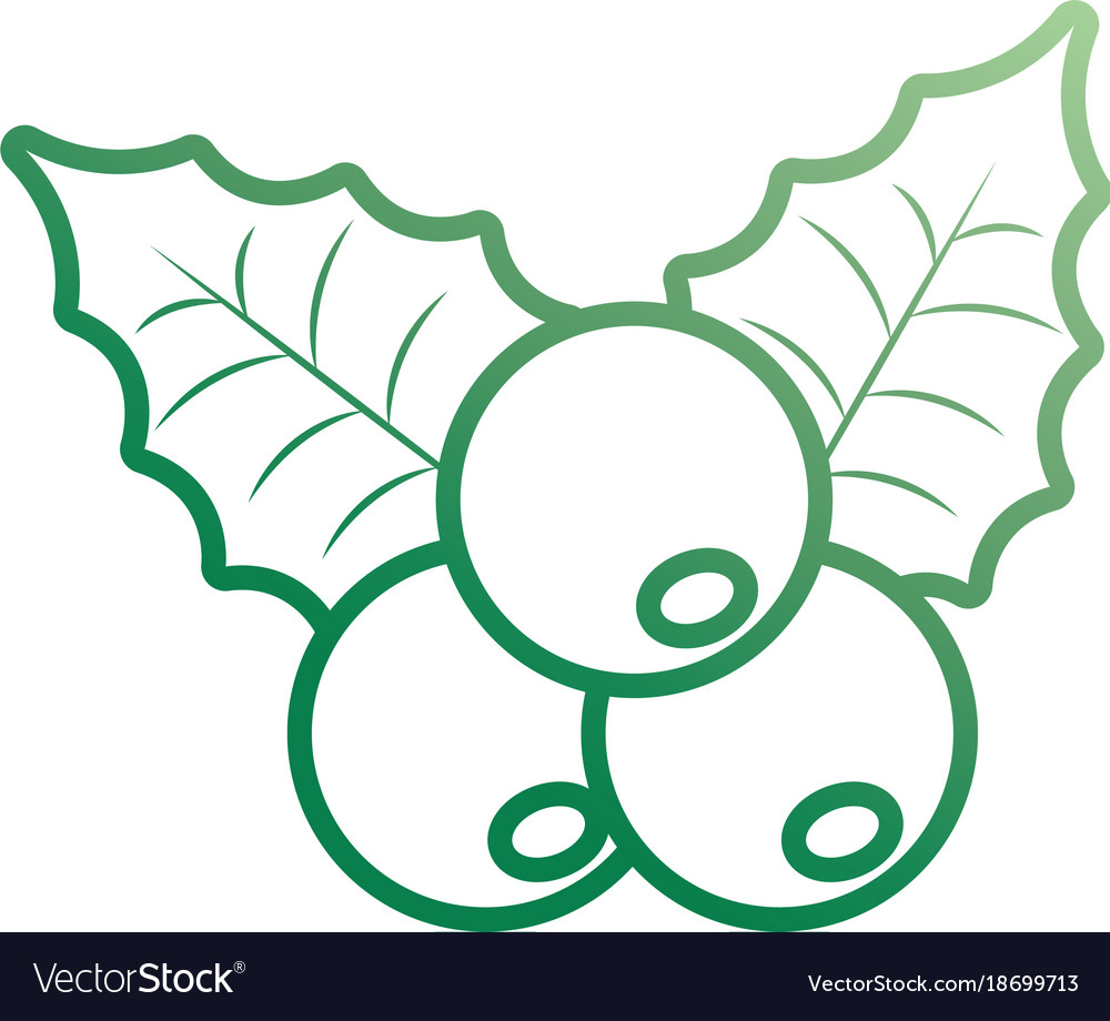 Mistletoe icon image Royalty Free Vector Image