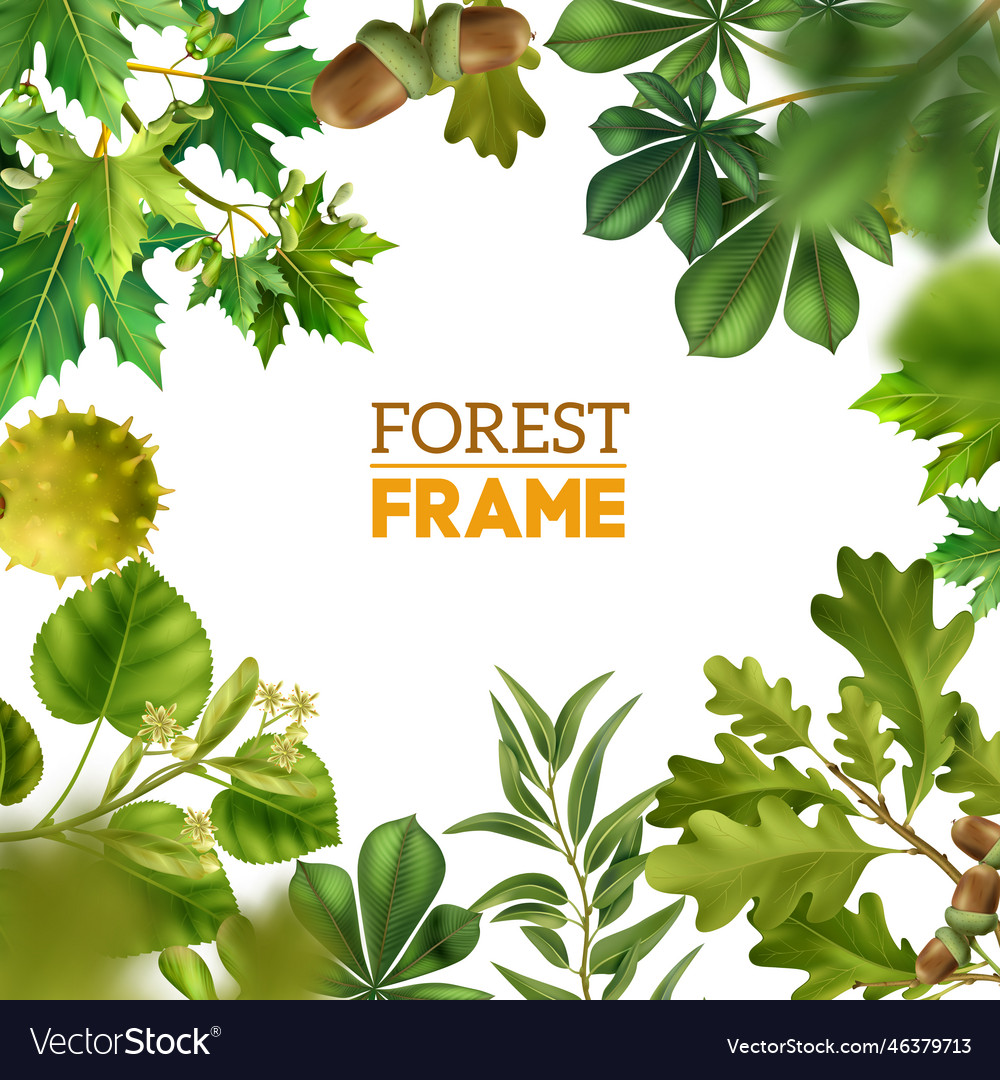 Realistic tree branches frame Royalty Free Vector Image