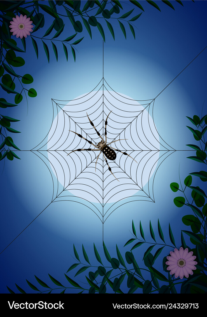 Spider web of the moon Royalty Free Vector Image