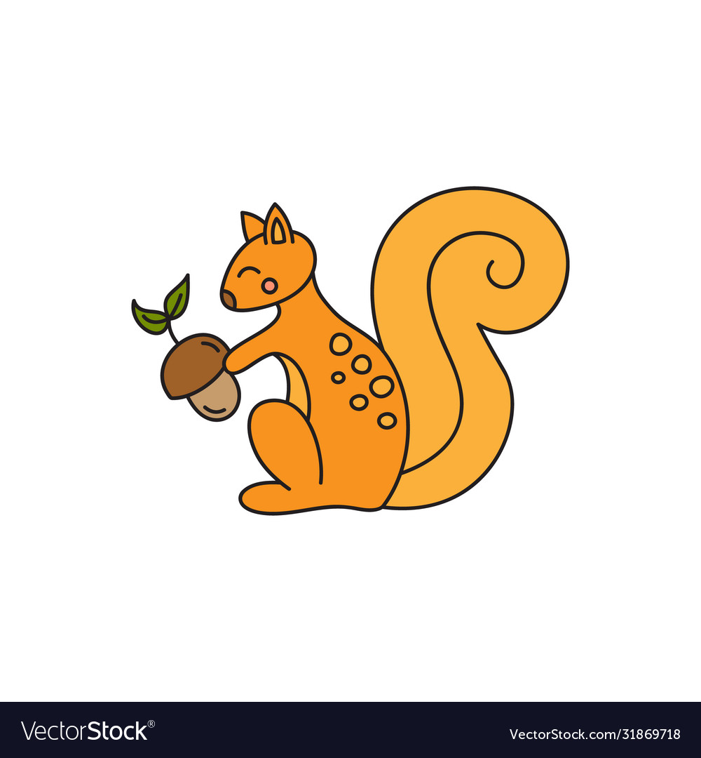 Squirrel Royalty Free Vector Image - VectorStock