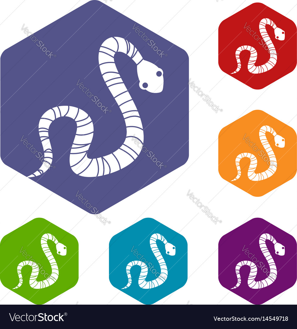 Striped snake icons set hexagon Royalty Free Vector Image