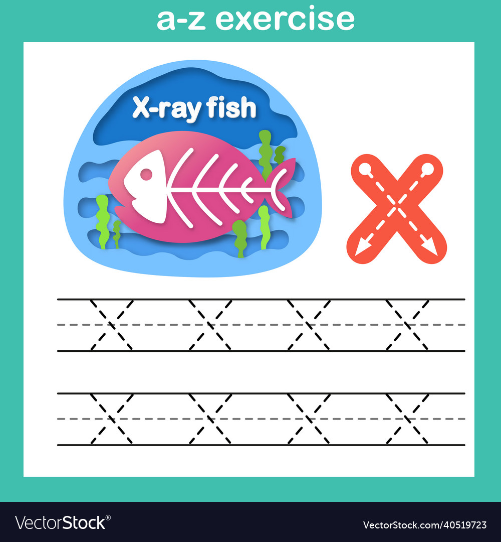 Alphabet letter x-x ray fish exercisepaper cut Vector Image