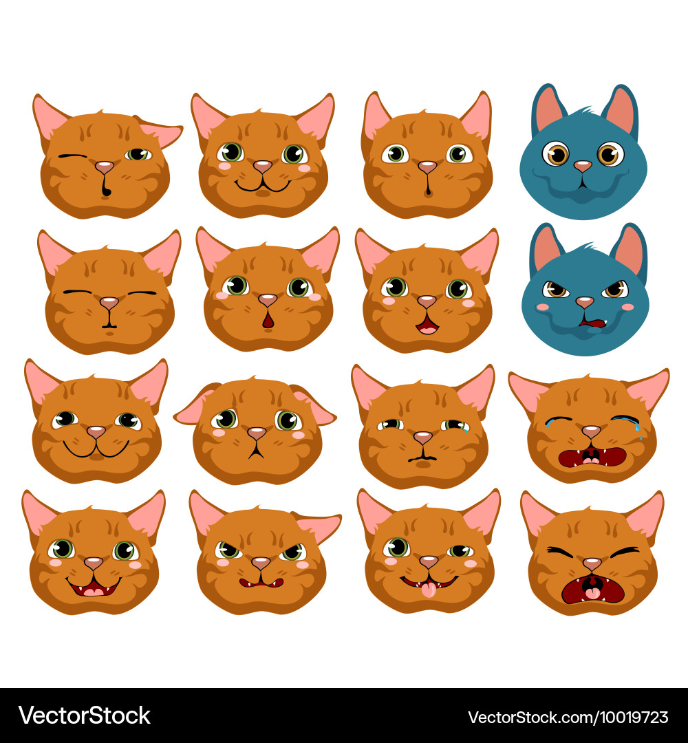 Cats expressing emotions set on white background Vector Image