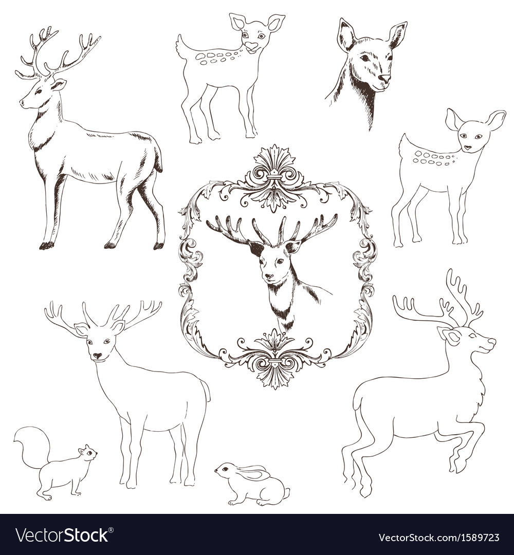 Deer christmas set Royalty Free Vector Image - VectorStock