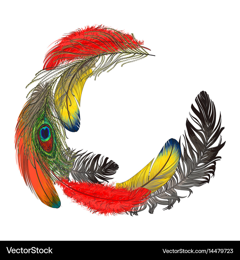 Round half frame formed feathers with space Vector Image