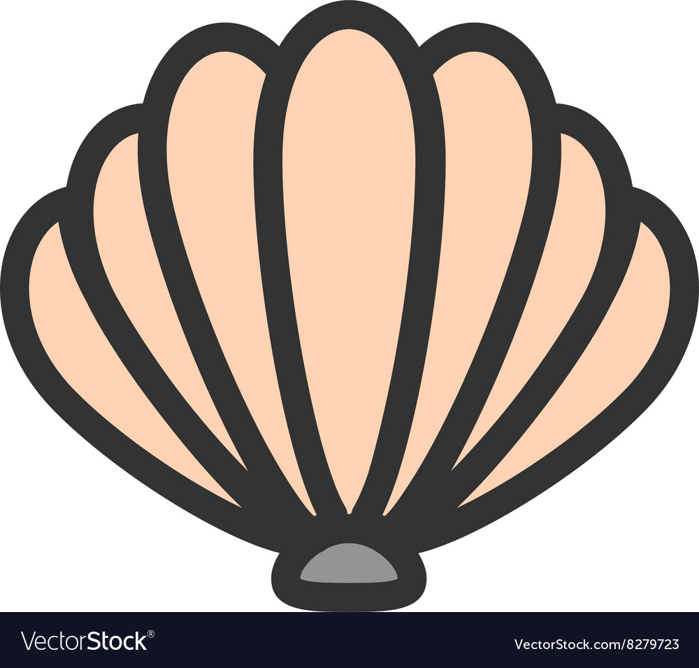 Sea shell Royalty Free Vector Image - VectorStock
