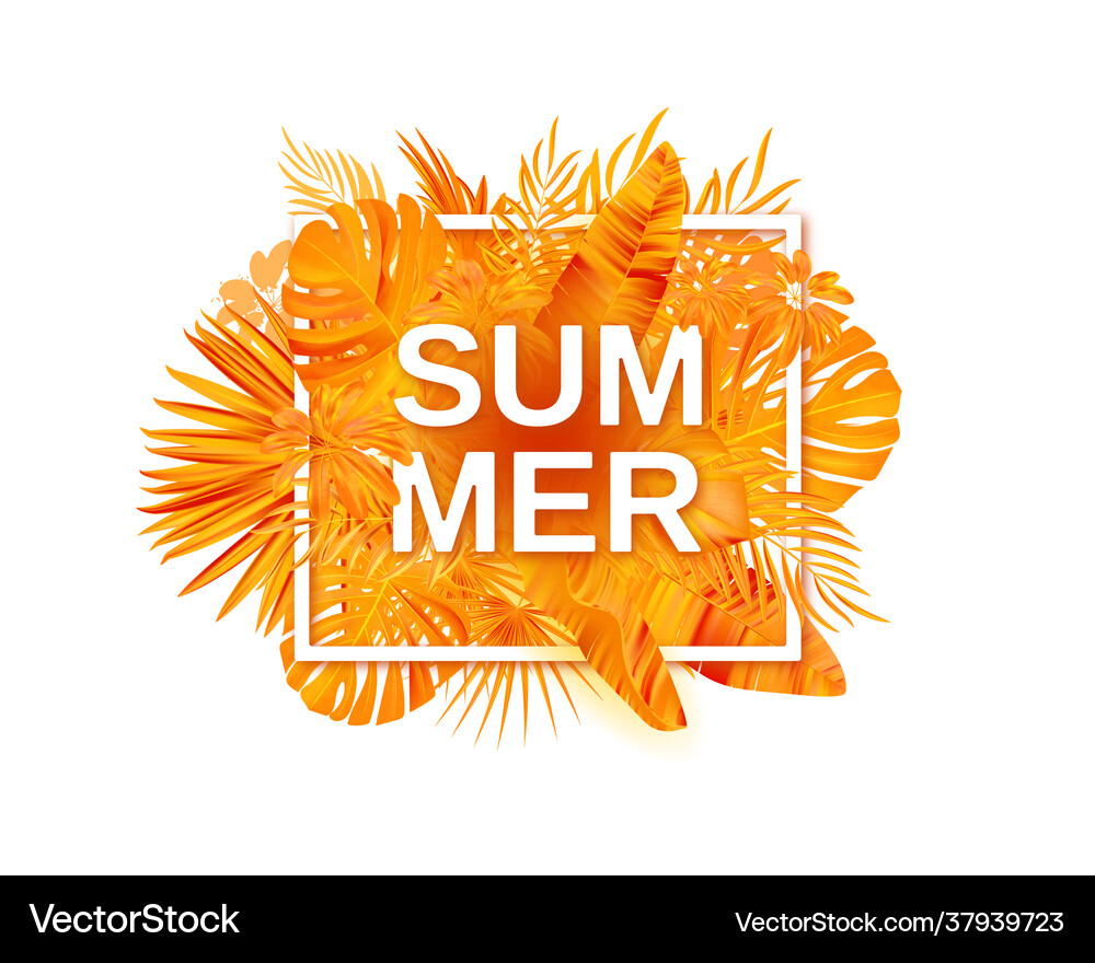 Summer tropical design for banner or flyer Vector Image