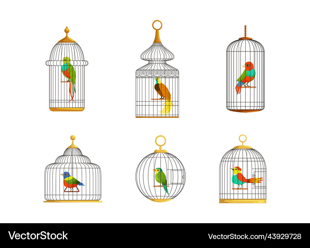 Exotic birds with colorful feathers perching Vector Image
